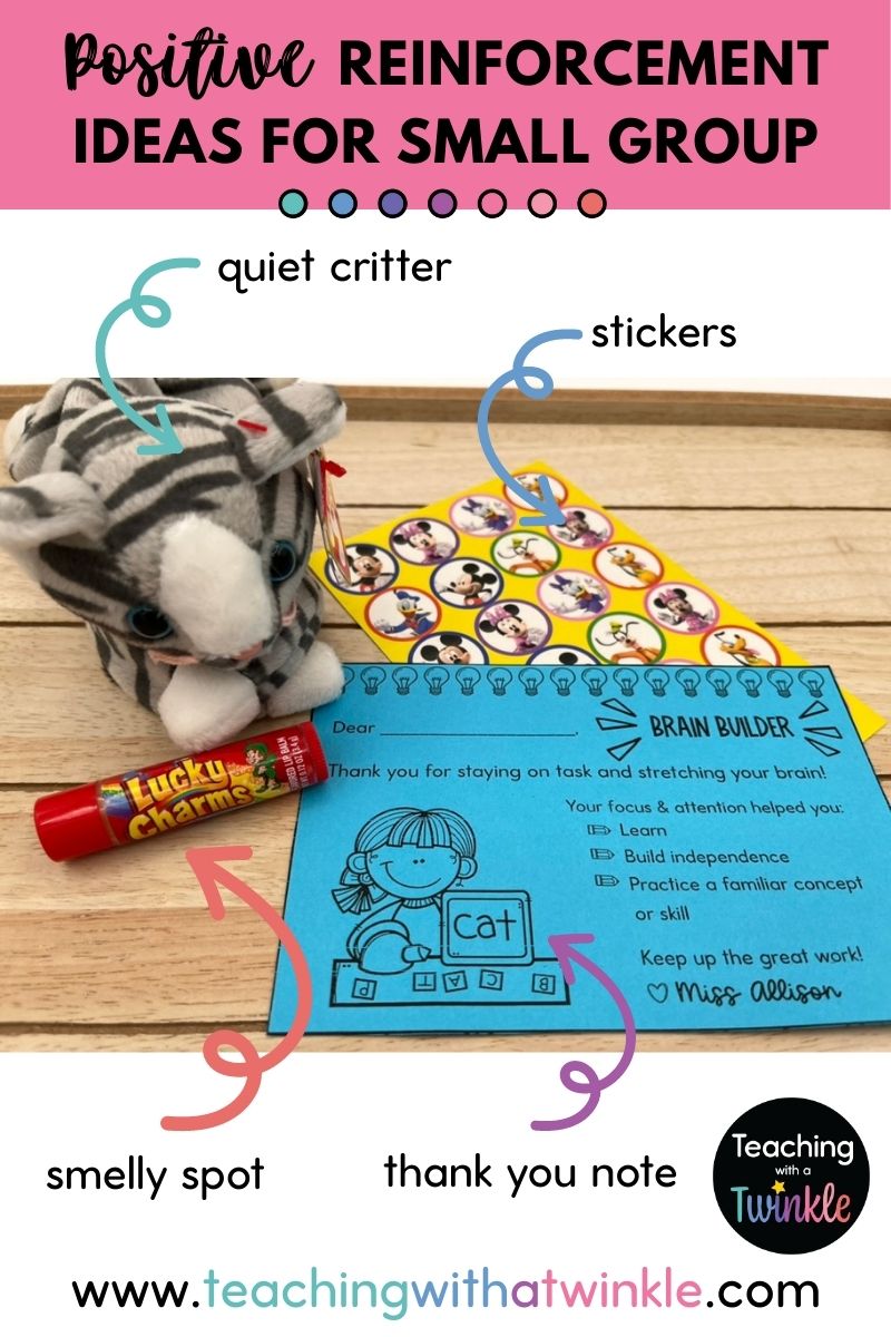 Everyday Classroom Management for Small Groups: Useful and Efficient ...